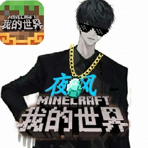 我的世界夜风giegie 