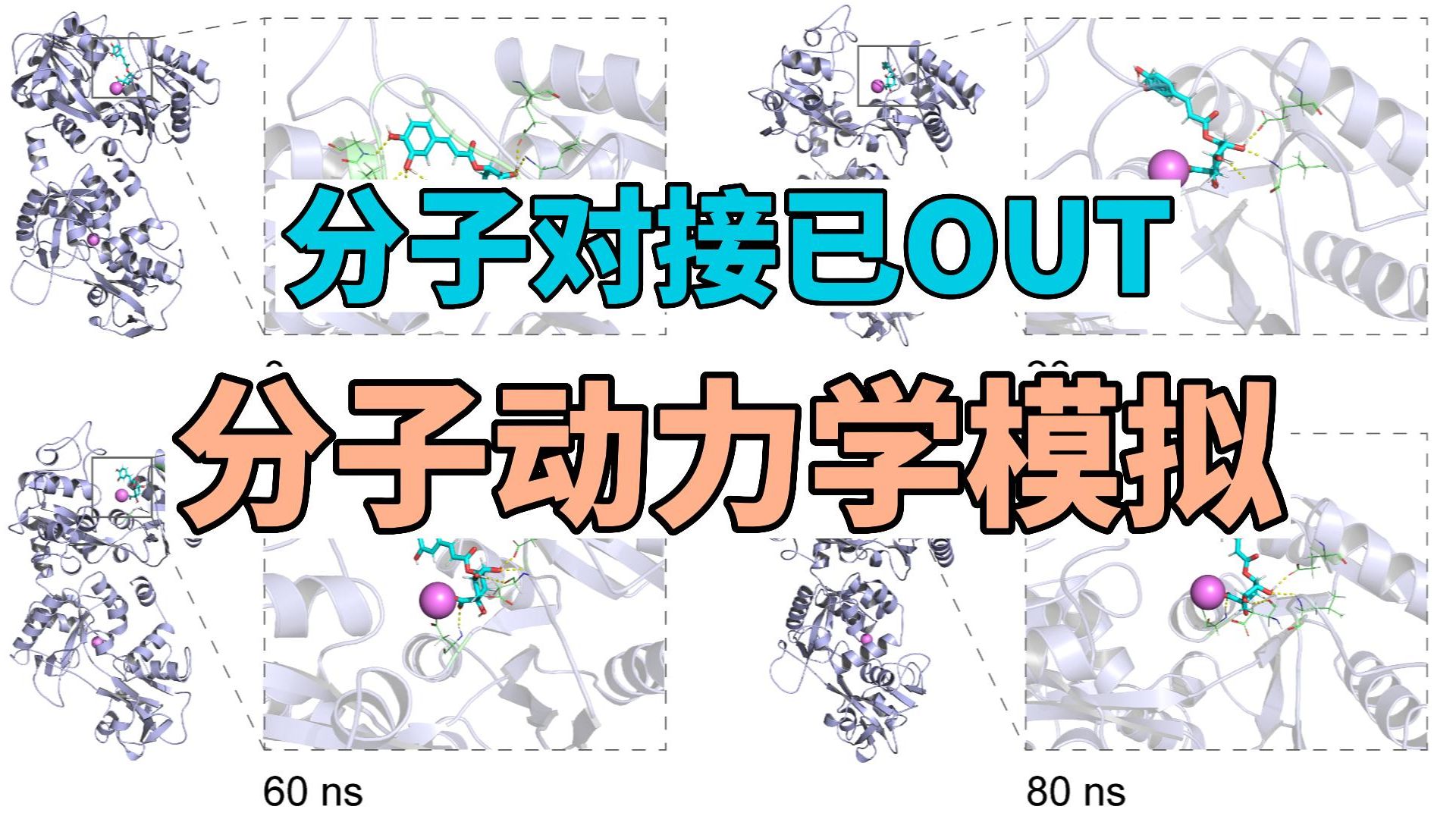 分子动力学模拟-网络药理学提升利器