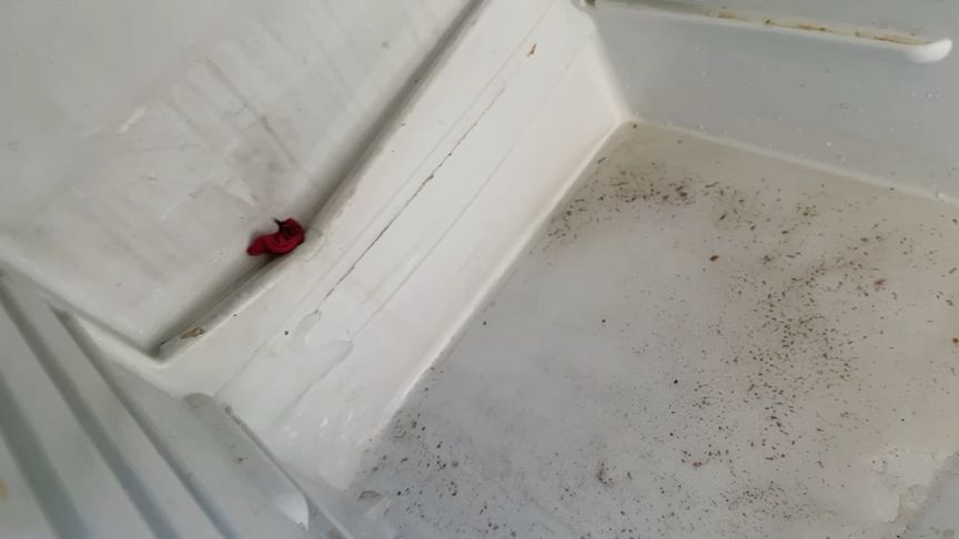 清洗冰箱排水管,有多重要不清洗多脏,为了家人的健康!