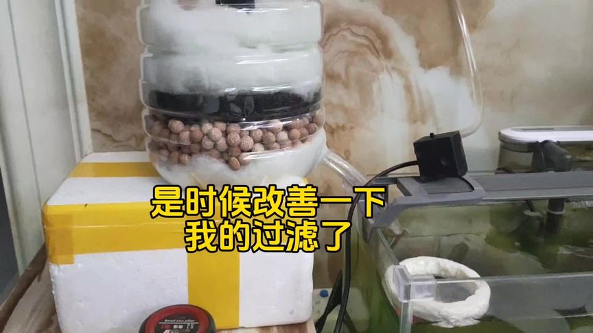 自制一个便宜耐用的过滤桶#过滤桶 #鱼缸过滤 #过滤器#养鱼日记