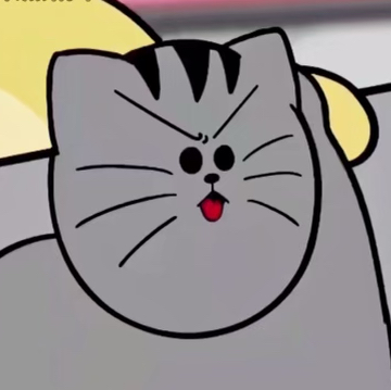 猫猫家的喵 