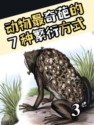 动物最疯狂的7种繁殖方式 #科普 #世界之最 #纪录片 #神奇动物在抖音 ...