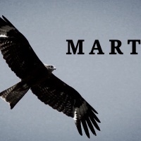 这是Martin 