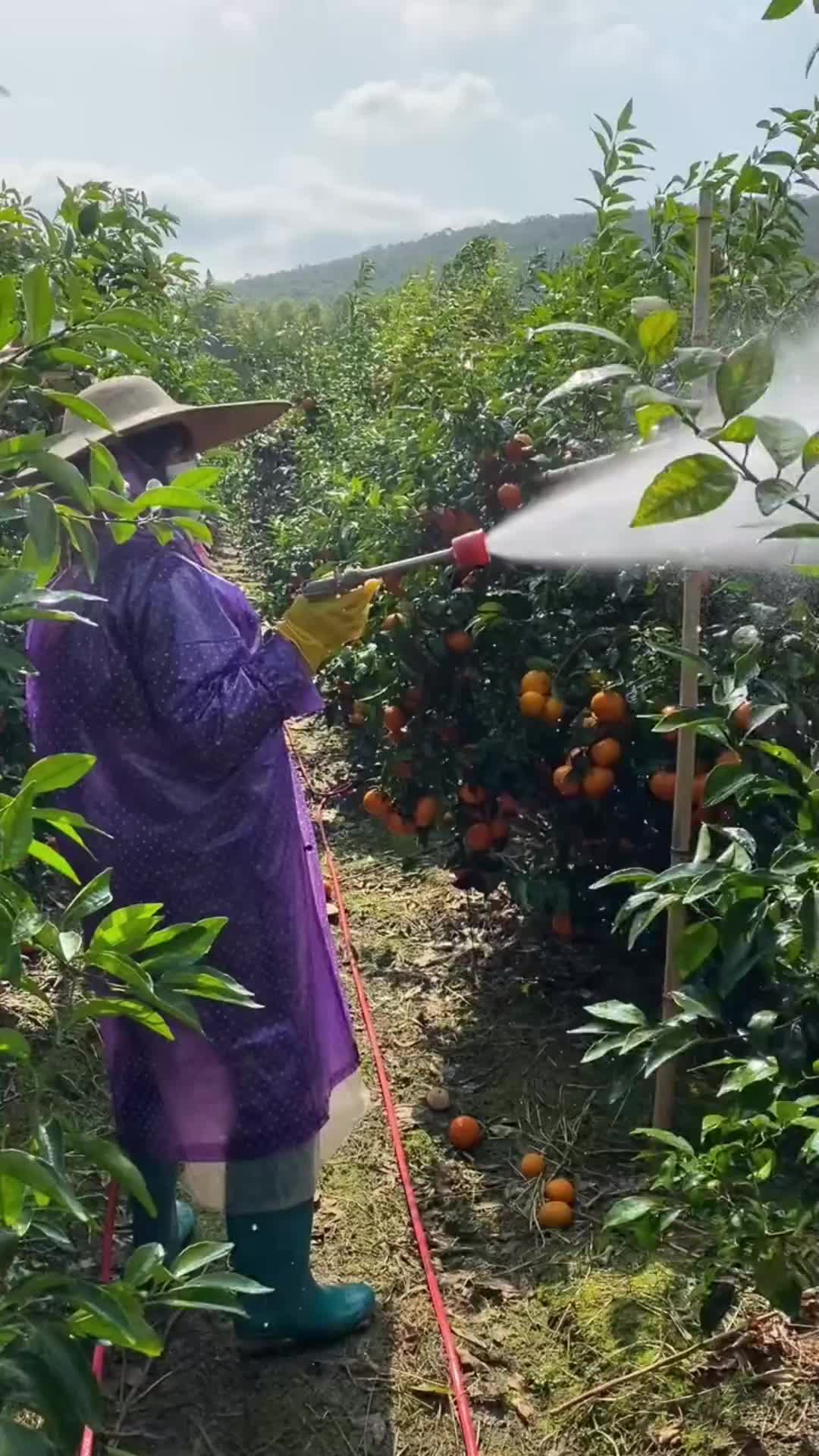 你知道农药正确使用方法吗?快来看看吧!这本书内容实用、科学简明、...