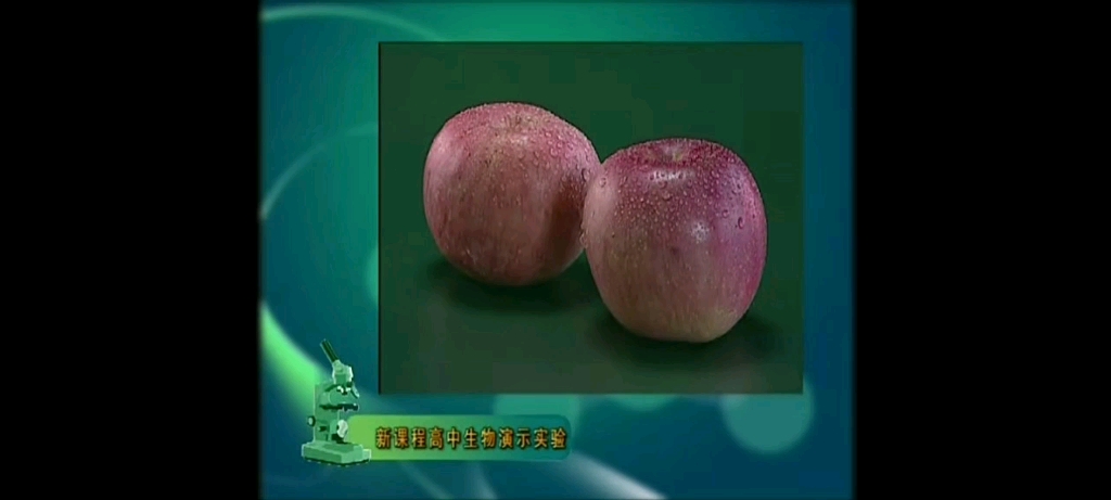 检测生物组织中的糖类~