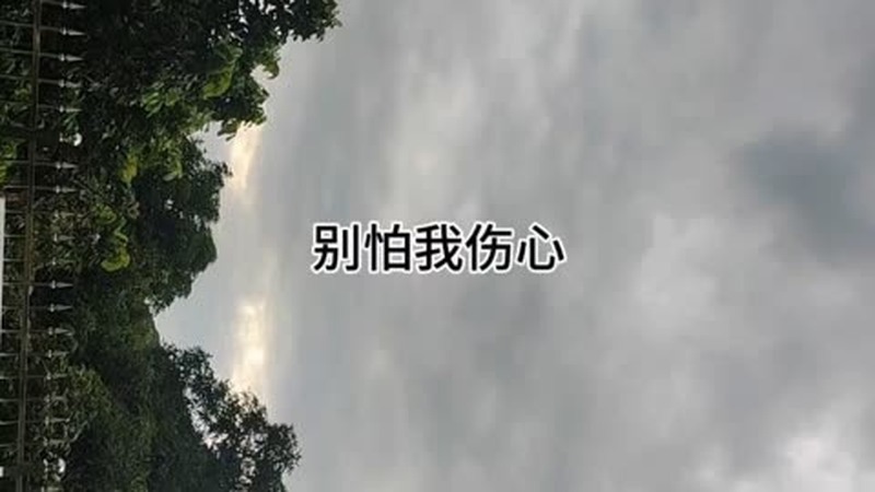 我从来不敢给你任何诺言,是因为我知道我们太年轻