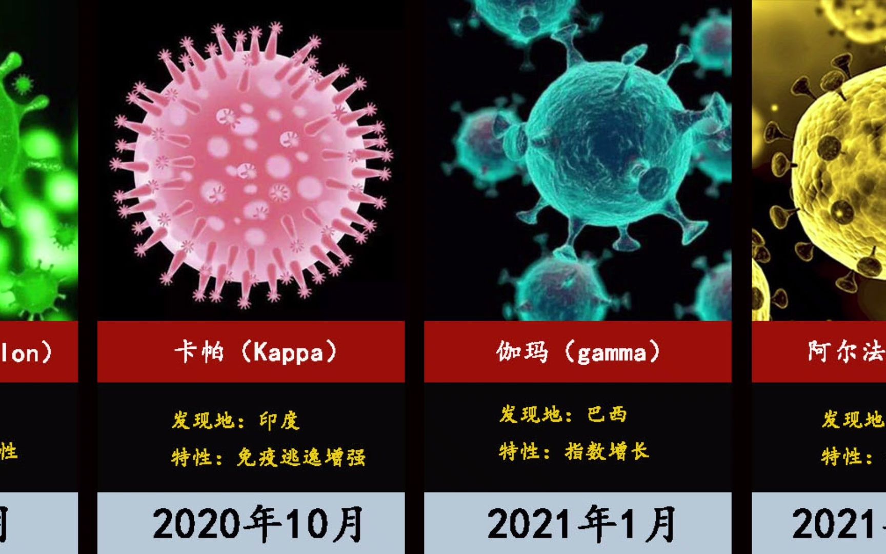 新冠病毒变异毒株特性、发现地、发现时间