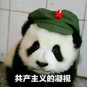 一颗大白菜dz 
