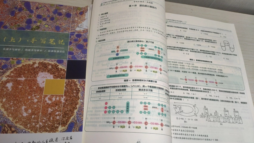 2024李林生物高一必修一必修二,系统课讲义笔记
