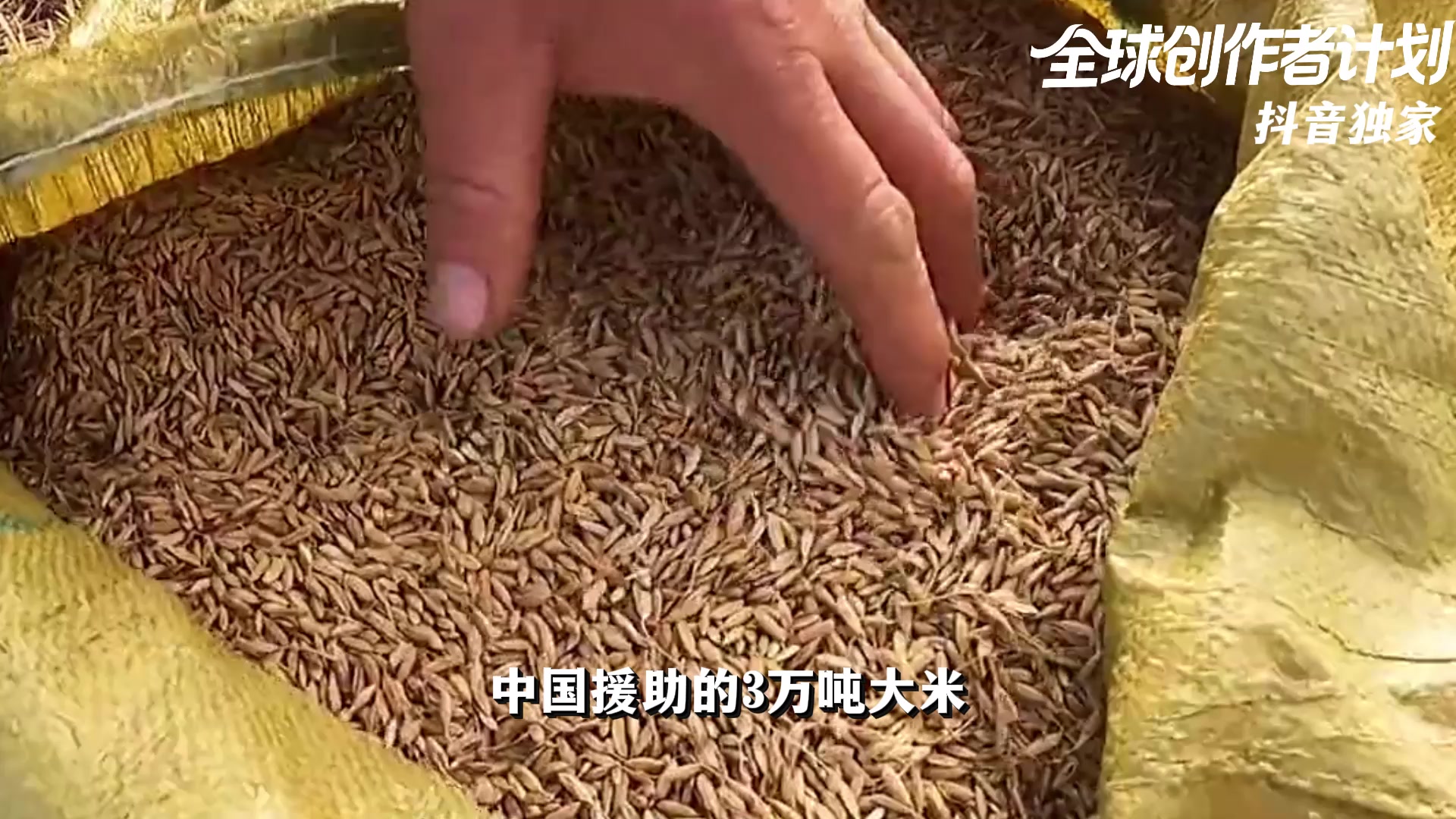 中国3万吨大米运抵古巴!被制裁多年,古巴得到哪些中国援助? #全球...