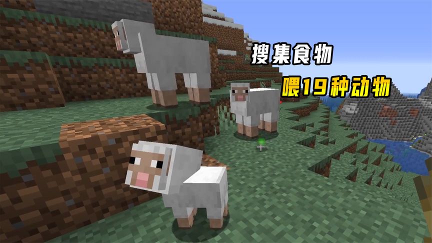 我的世界1.16联机462:搜集食物喂19种动物,下个成就成双成对