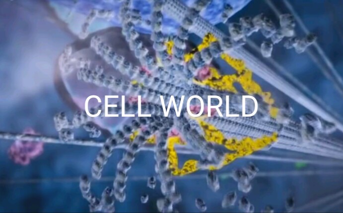 一个精美的动画带你纵览奇妙而精秘的细胞世界