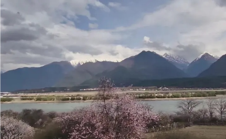 齐旦布天籁情歌《游牧时光》共赏火车窗四月林芝米林雅江雪山桃花