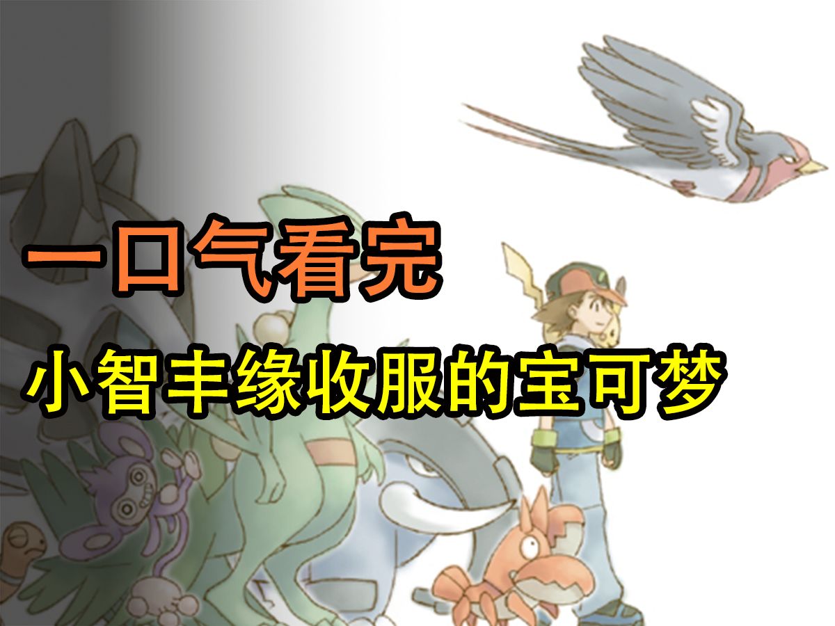 一口气看完小智在丰缘地区收服的宝可梦