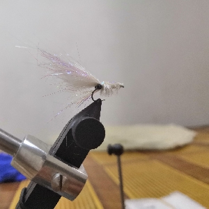 长沙狼王 