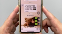 微信新功能“拍一拍”还不会用?手把手教你,简单又有趣,涨知识