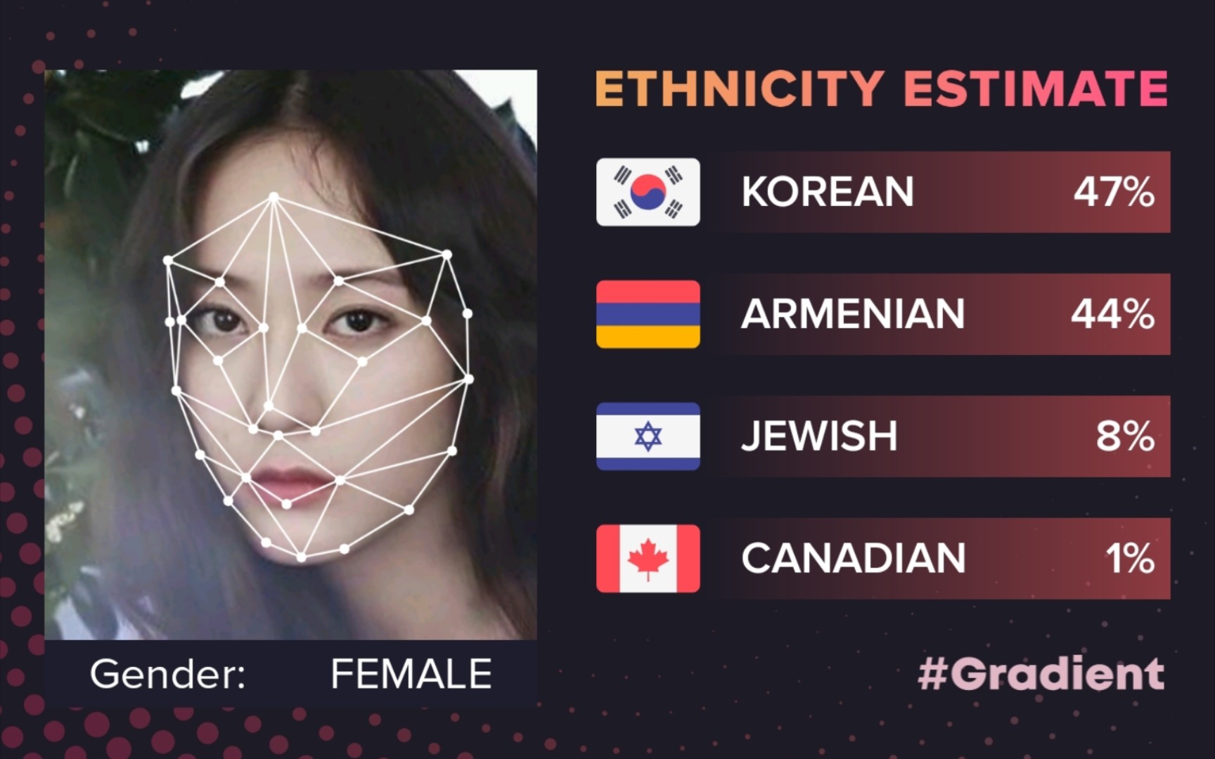 【fx】用血统组成软件打开函数团是什么结果