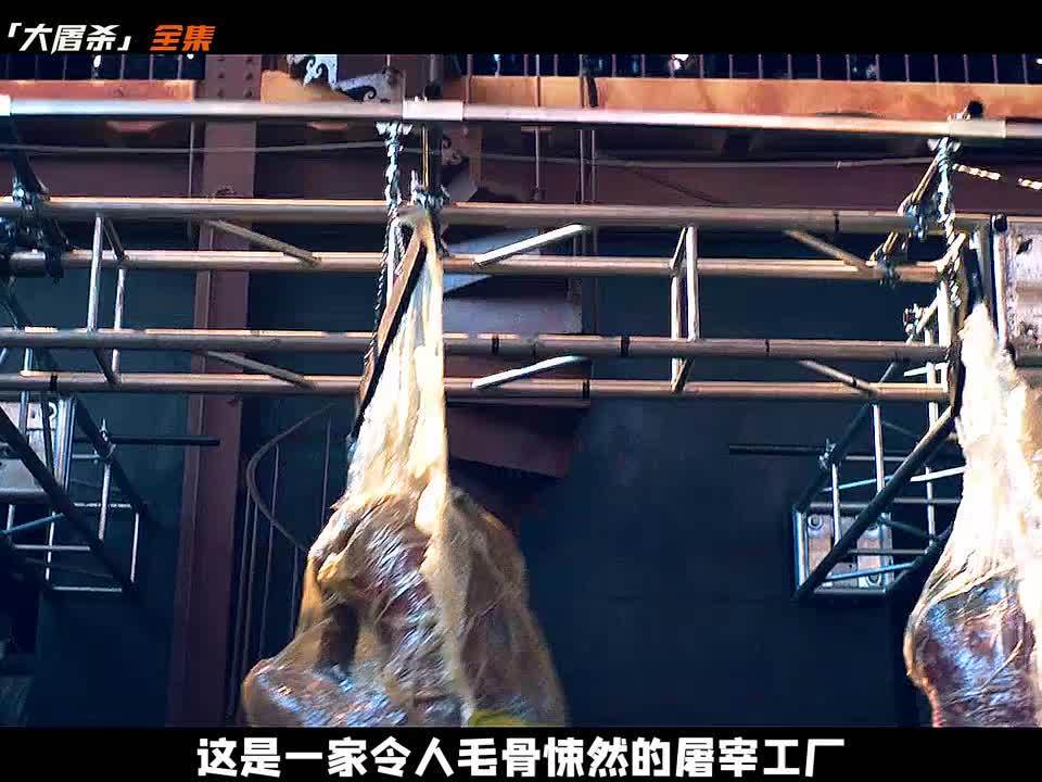 ...着一个血腥的屠宰车间 #快嘴唠唠剧 #美国大屠杀 #光合计划激励任务