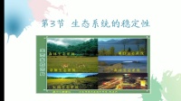 生态系统的稳定性