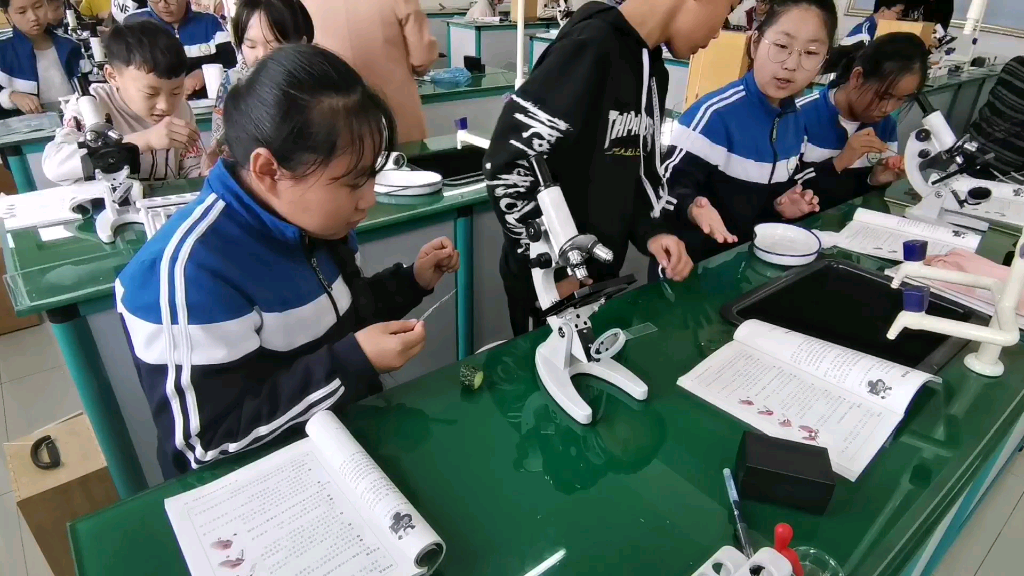 实验《观察植物细胞》(人教版初中生物七年级上册)