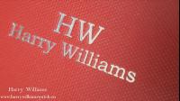 HarryWilliams手表开箱,星光熠熠如你,光彩灼灼耀目