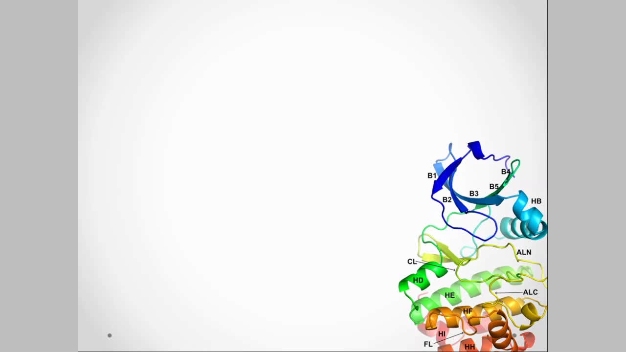 分子对接_ AUTODOCK VINA