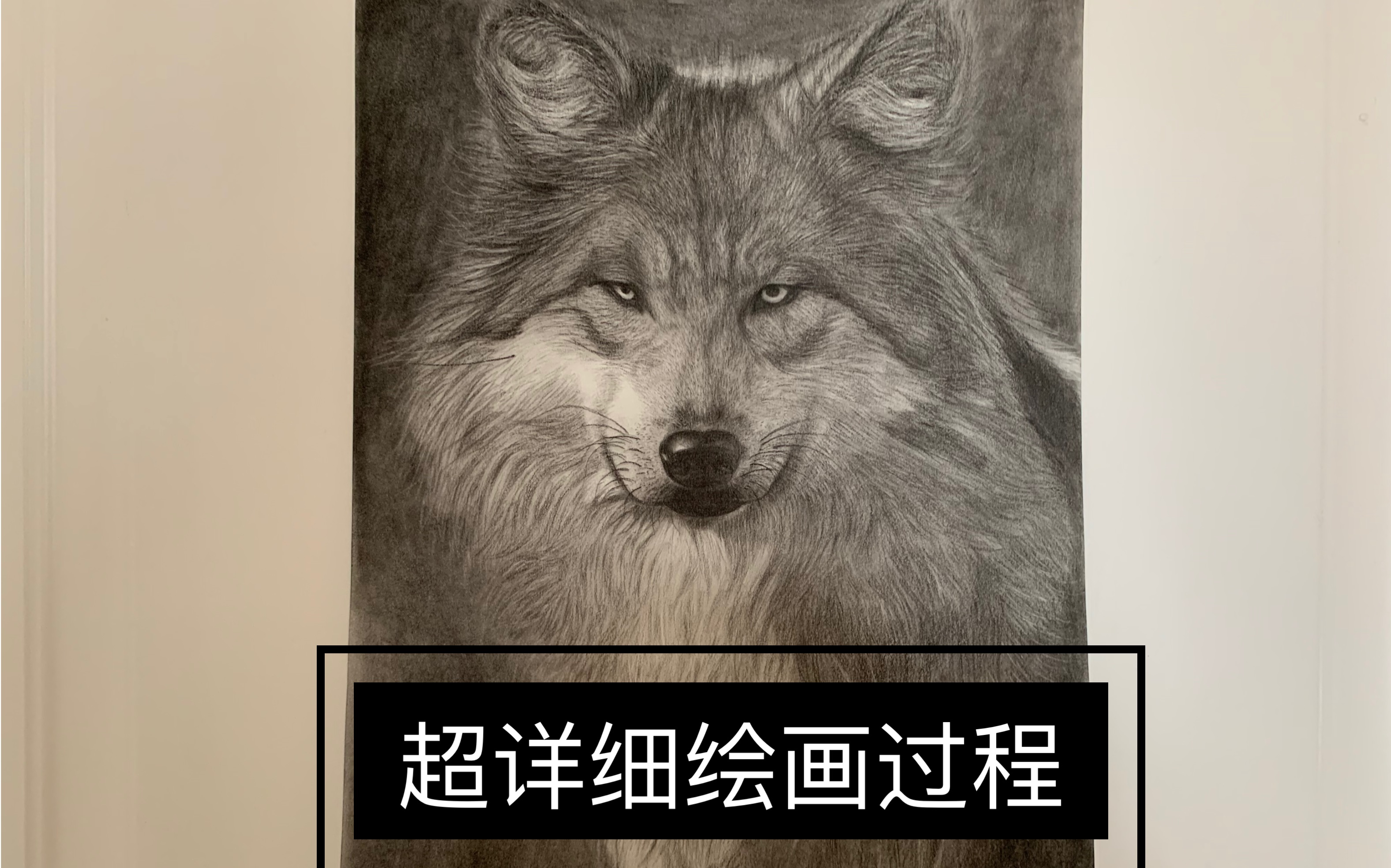 【素描】狼绘画过程