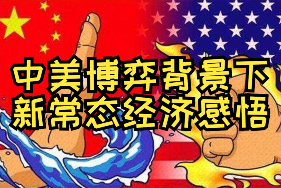天涯经济神贴《中美博弈背景下,新常态经济感悟》;文章发表于2020年;...