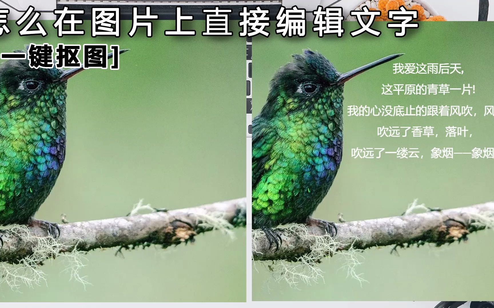 怎么在图片上直接编辑文字