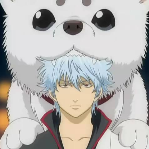 飘翎似雪的日常 