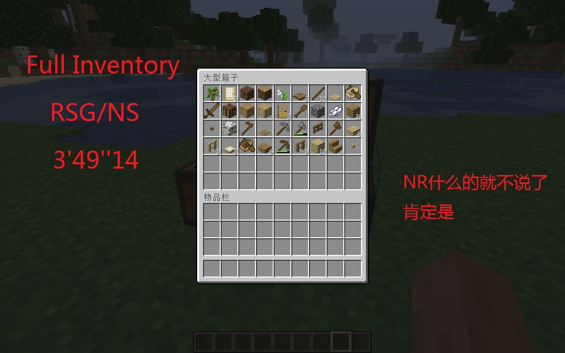 【我的世界速通】Full Inventory RSG NS sub230! 3'49''达成
