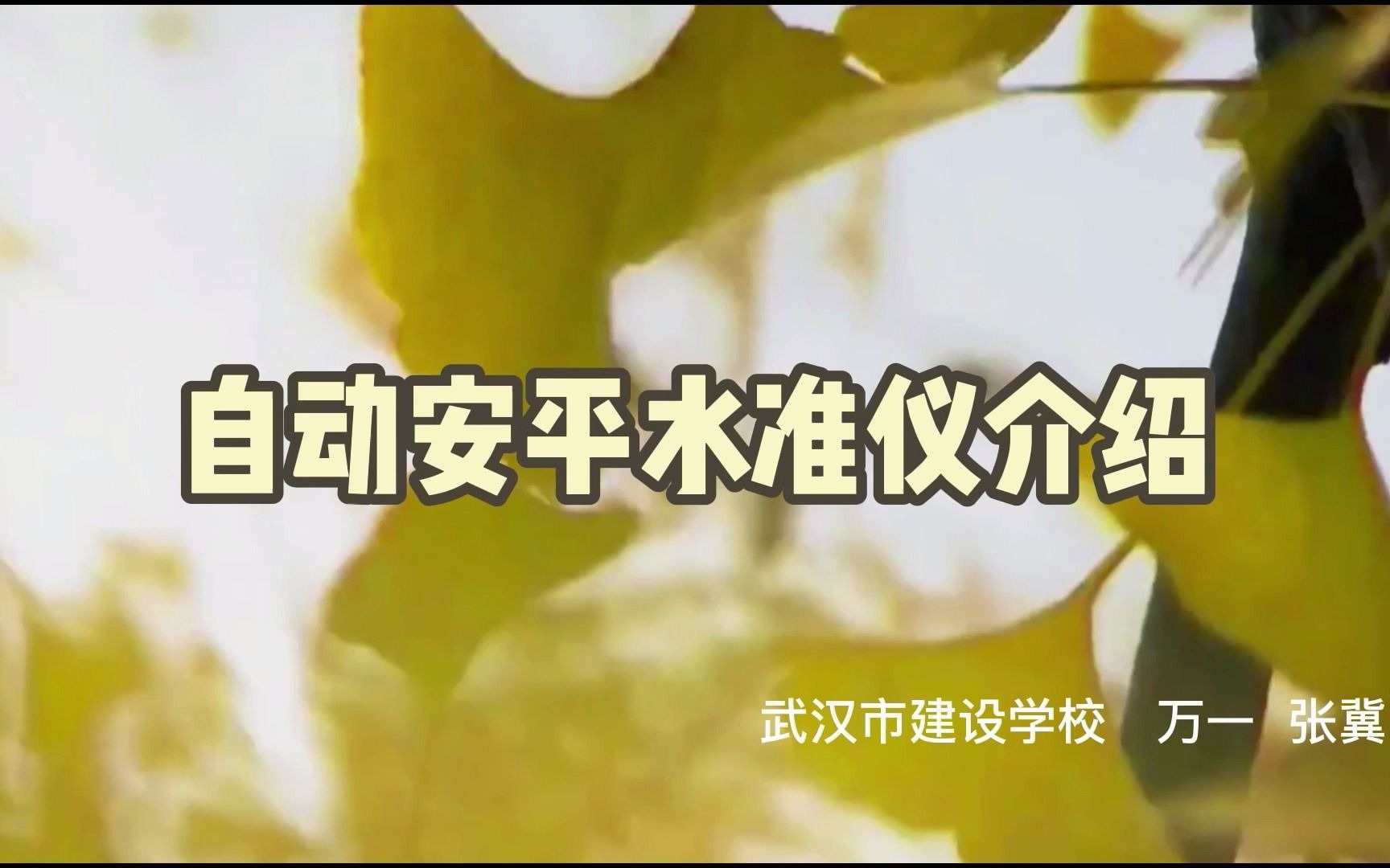 自动安平水准仪介绍