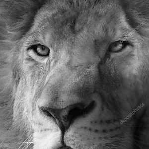 讲点真话去伪存真 