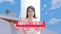 强制执行草案对罚款和拘留的规定