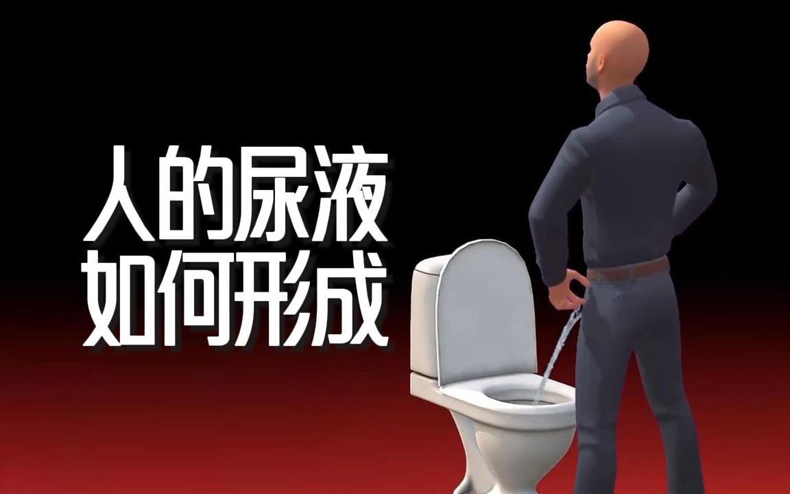 我们体内的尿液是如何形成的?#3D动画#工作原理