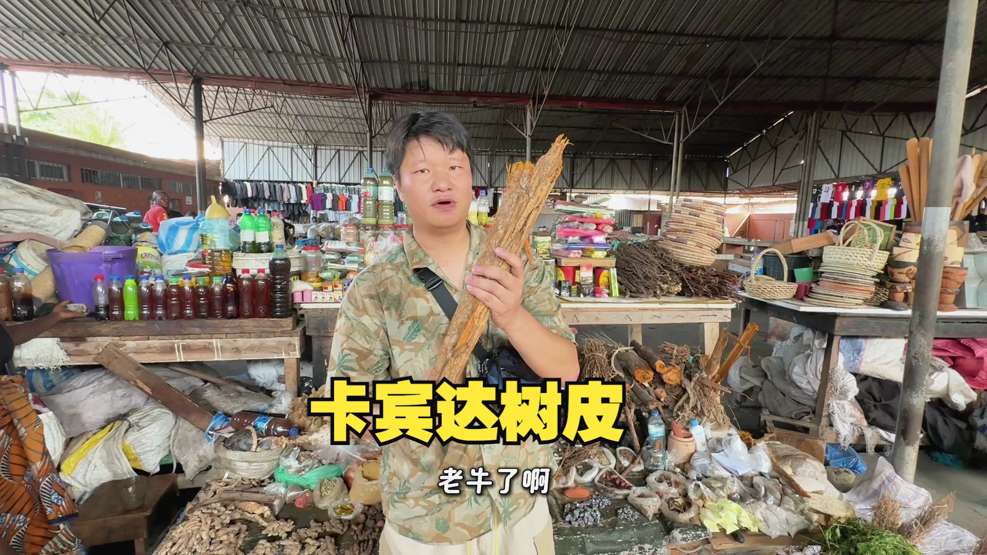 非洲人喜欢的卡宾达树皮,喝了之后到底啥感觉呢?