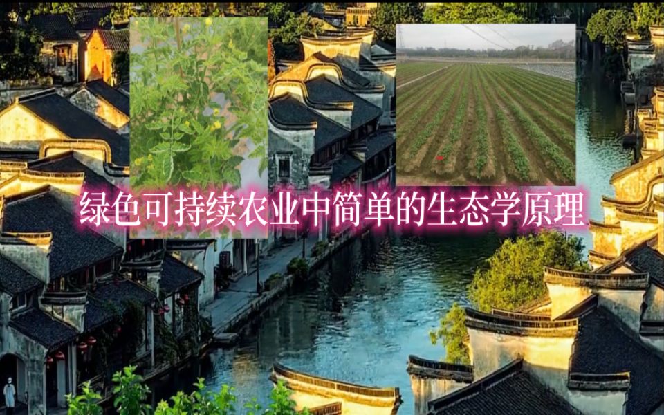 绿色可持续农业中简单的生态学原理