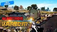 绝地求生: 当用4K分辨率打开吃鸡! 网友: 我已经闻到了显卡的香味!