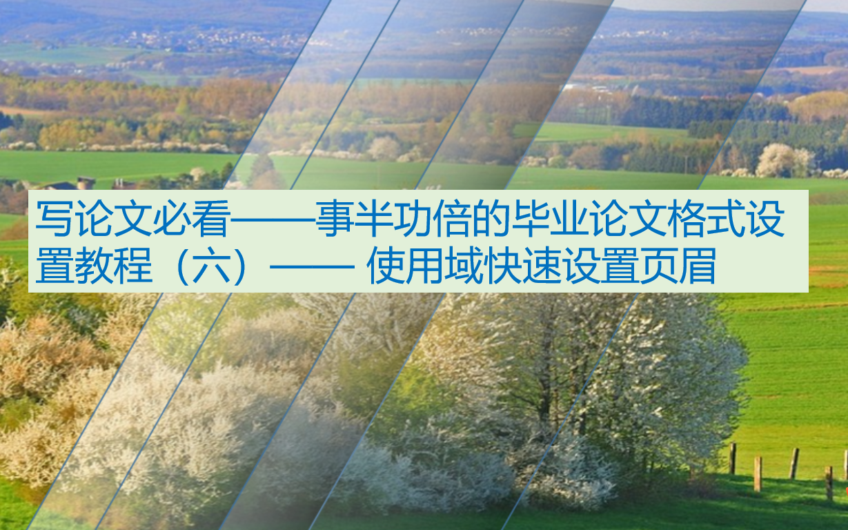 写论文必看——事半功倍的毕业论文格式设置教程 (六)【插入域 & 域...