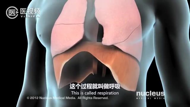 科普:【气管插管和机械通气】#剑桥大学研发出廉价呼吸机