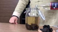 两年经验总结熟地黄怎样泡酒 熟地黄泡酒的功效与作用