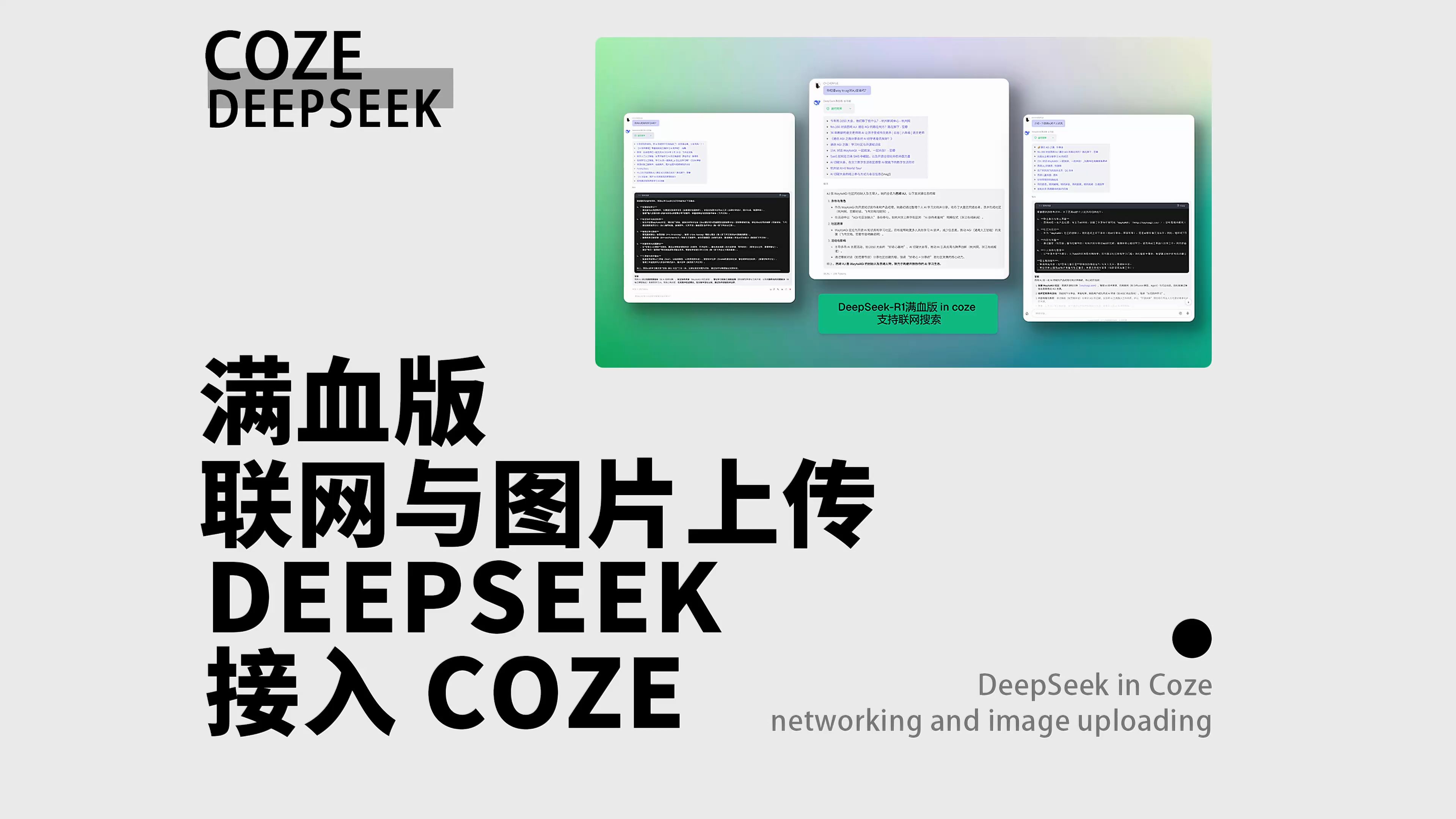 定制自己的满血版DeepSeek支持联网与图片上传接入coze api扩展...