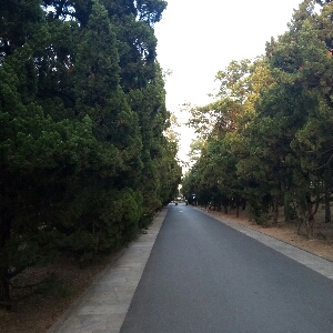 涛tao乐 