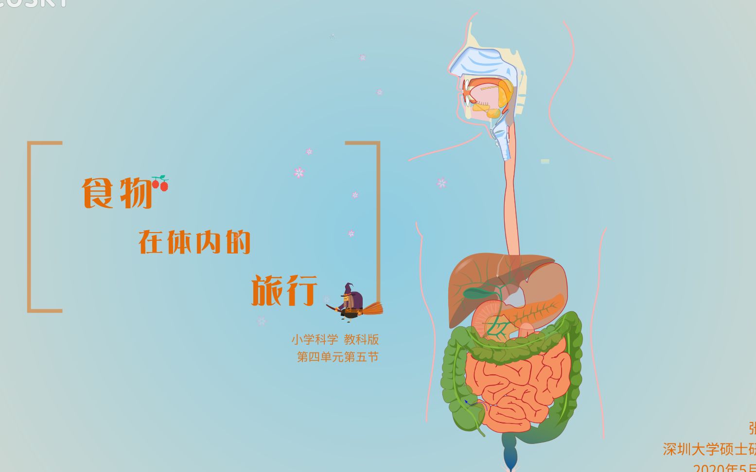 科学微课 食物在体内的旅行 食物消化过程