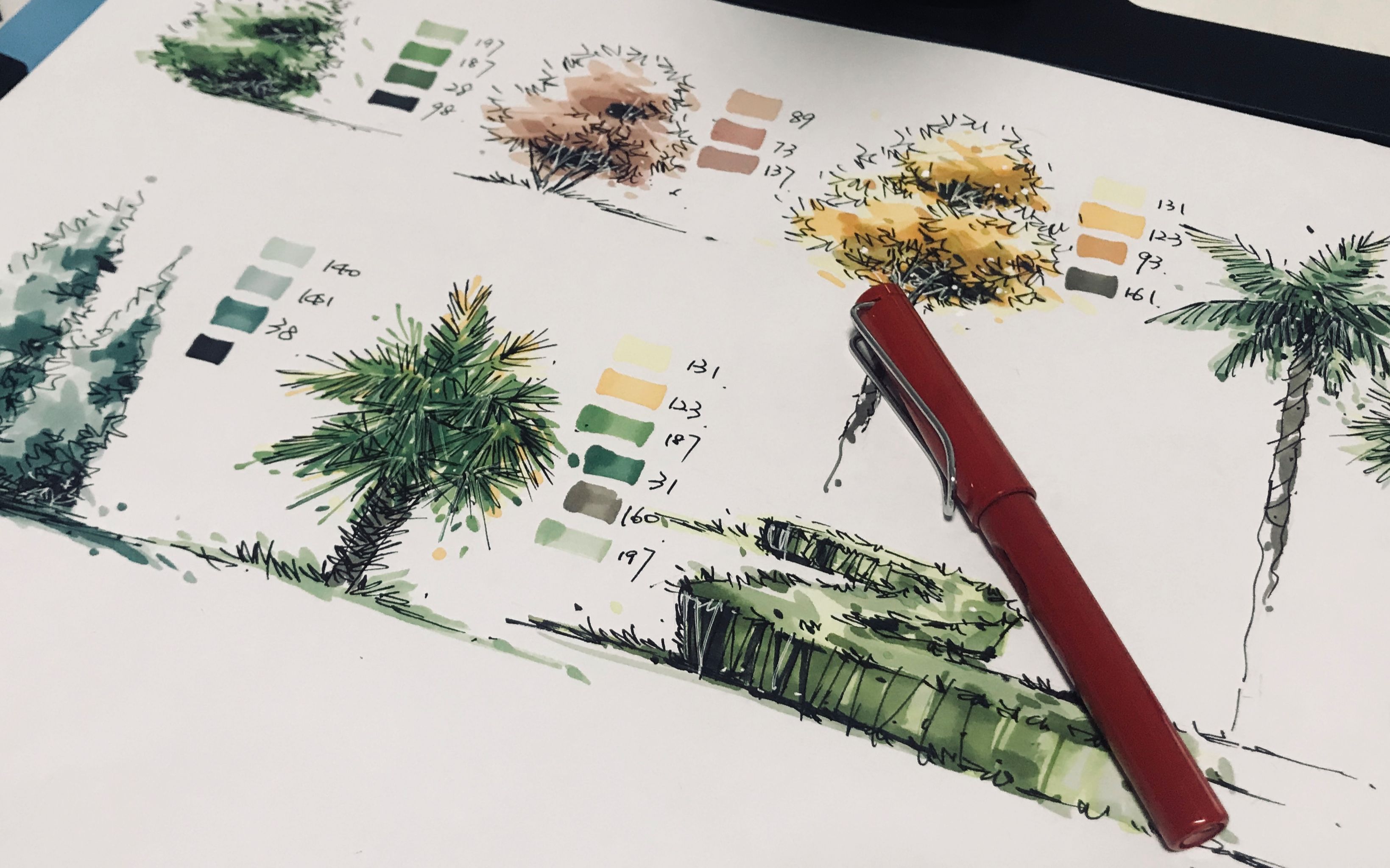 【景观手绘】风景园林植物单体线稿+马克笔
