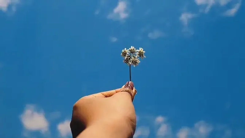 面对焦虑,不禁要问:人生怎样才算圆满?