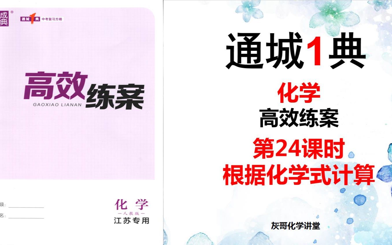 2022版通城一典化学高效练案-第24课时-根据化学式计算