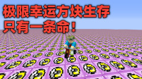 我的世界:当你玩咸鱼包不小心开了极限模式!你该如何生存下去?