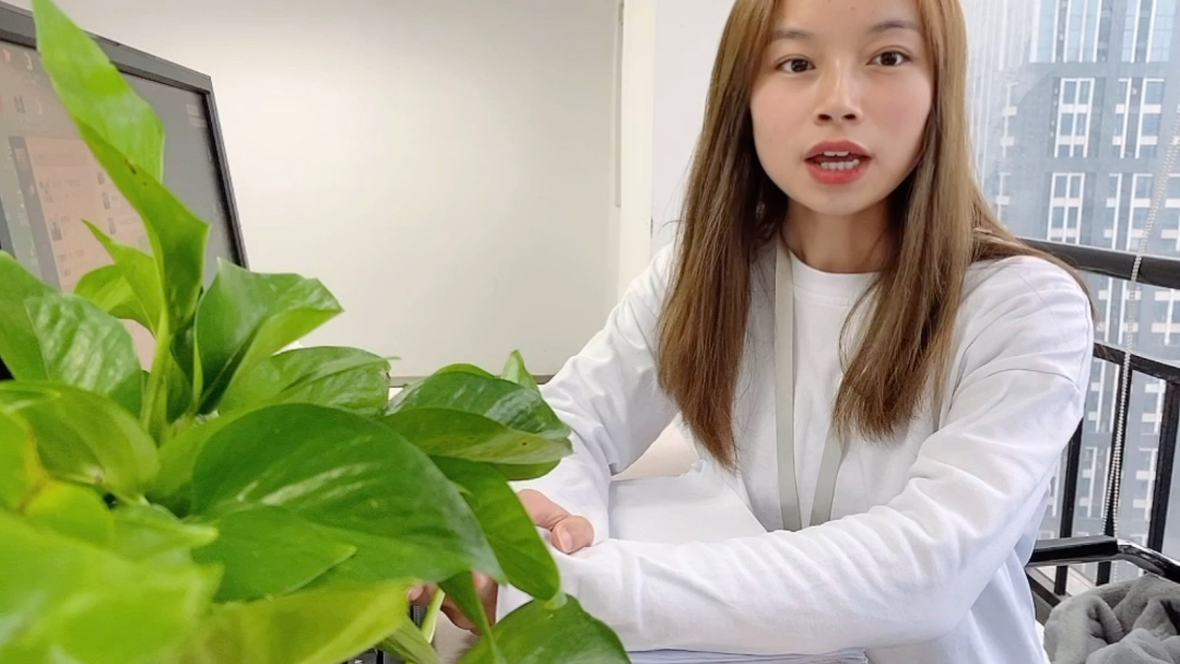 公司印章做好风险管理了吗?