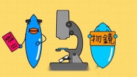 简单易懂的显微镜成像原理